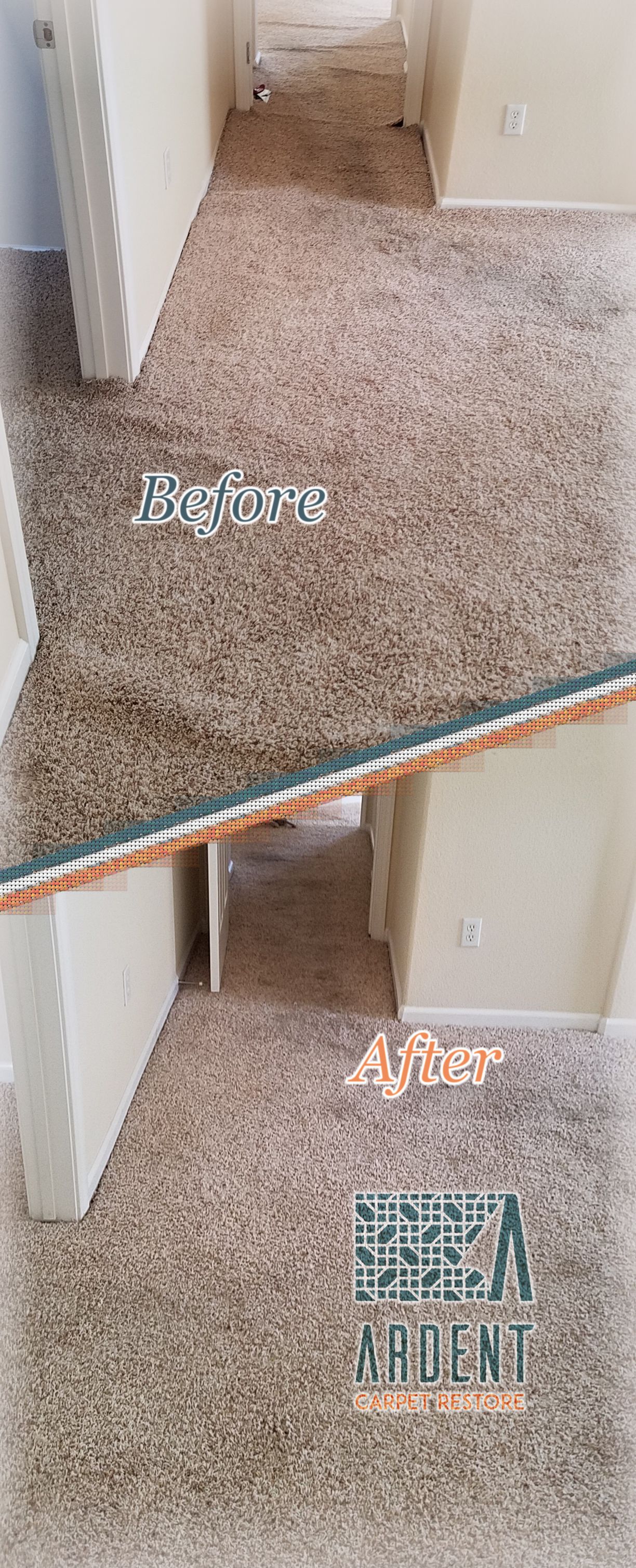 Carpet, tile, upholstery cleaning & Carpet repair | Ardent Carpet Restore